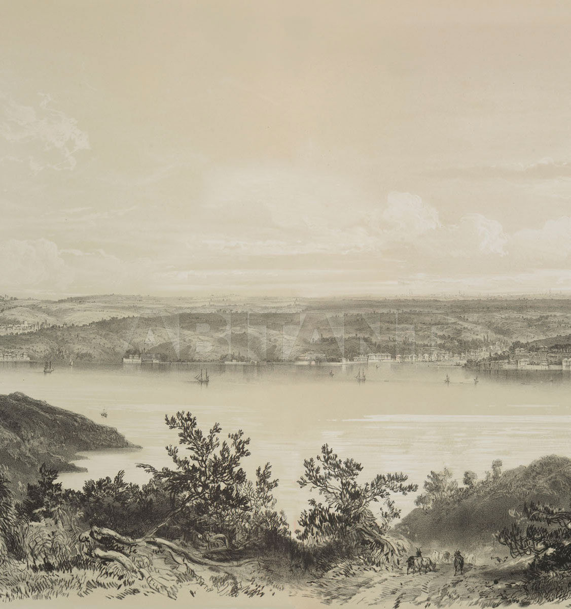 Wallpaper Ivory Iksel Schranz Sepia Bosphorus, : Buy, оrder оnline on ...